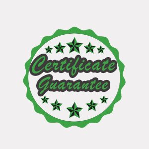 SPECIAL EVENT INSURANCE - Kelly Insurance Group